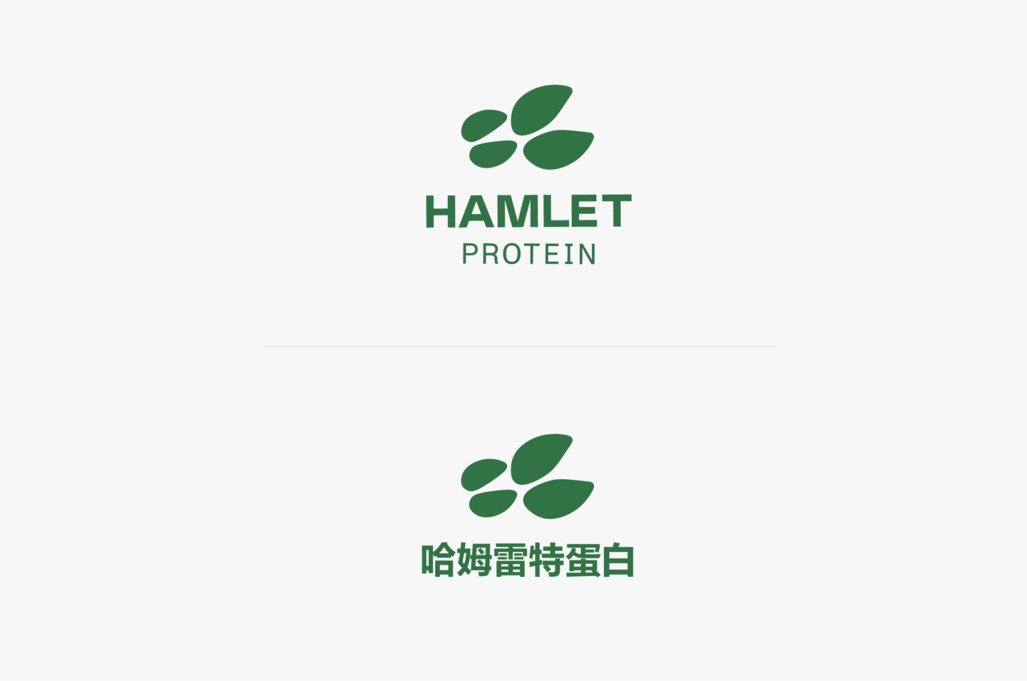 Strategy and corporate design for Hamlet Protein - IDna Group